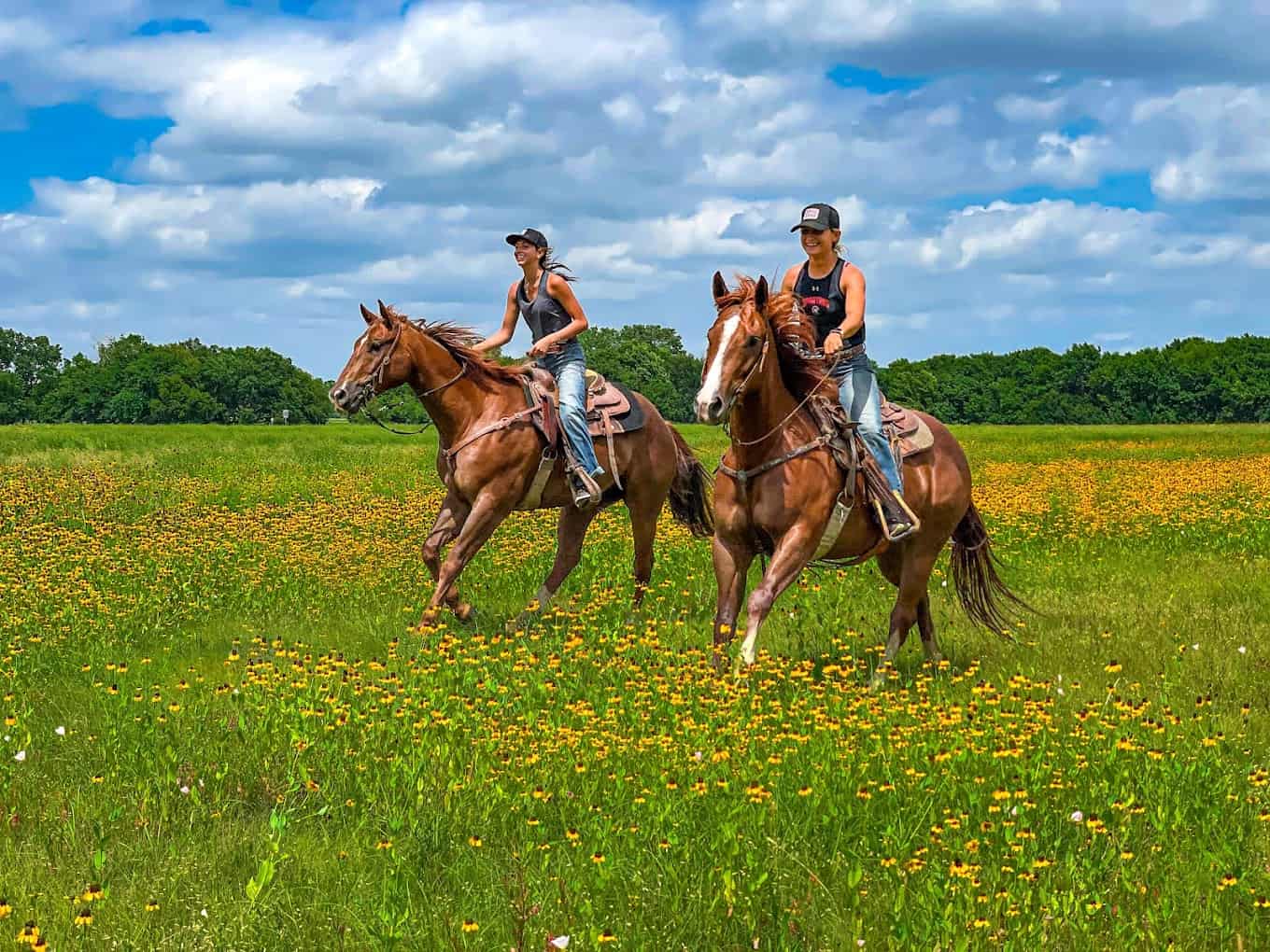 Benbrook Stables - Romantic Spots Fort Worth
